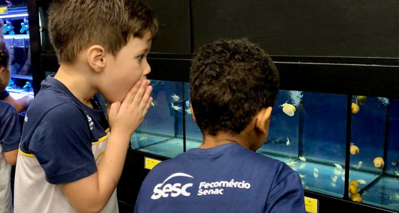 Detalhes da Atividade Sesc Tocantins